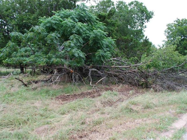 42158 Augusta Dr, Whitney, TX 76692 | MLS #21002