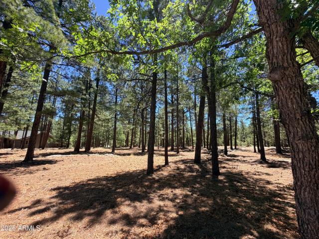 4215 APACHE Drive # 428