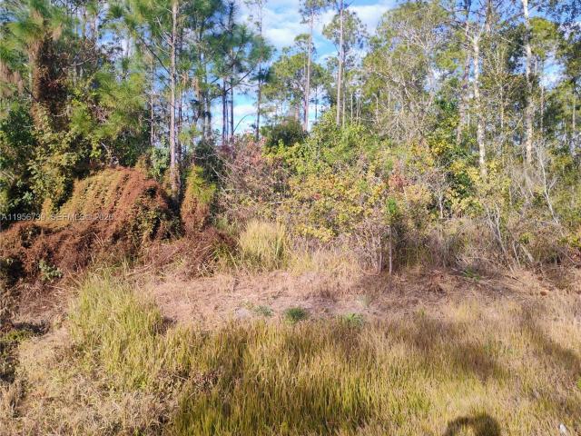 4217 Gerona Ave, Sebring, FL 33872 | MLS #A11956