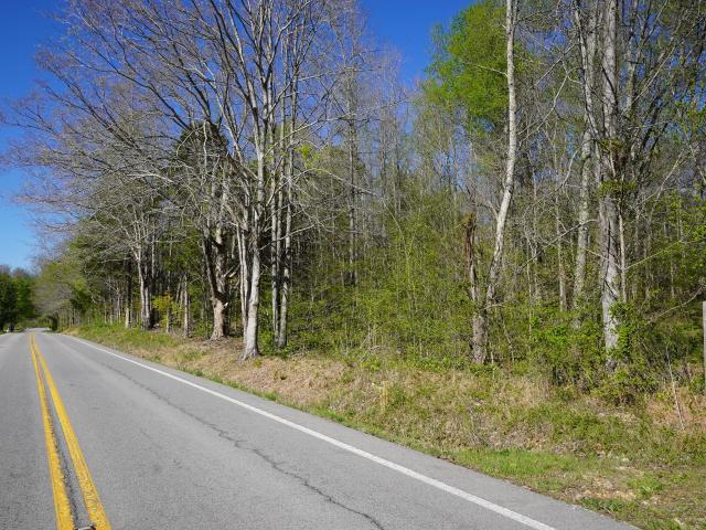 4219 Hwy 49