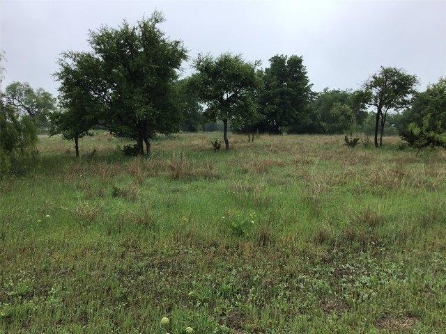 42122 Crooked Stick Dr, Whitney, TX 76692