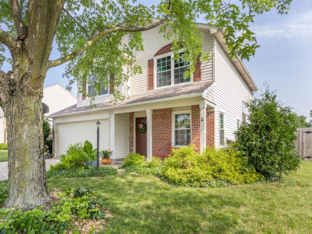 4212 Dunedin Court