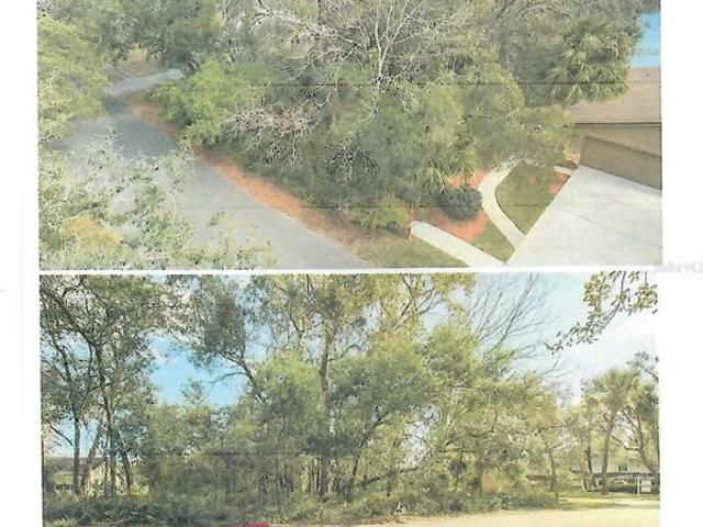 421 Cardinal Oaks Ct, Lake Mary, FL 32746 | MLS #O6378 | Compass