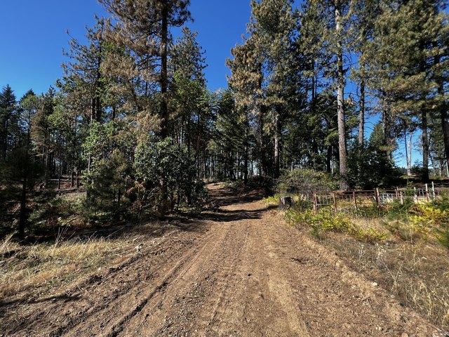 421 and 531 Bluff Creek Rd, Kettenpom, CA 95595