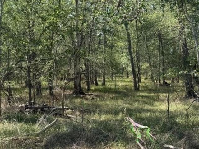 421 Kerr Ave Lot 22, Sutherland Springs, TX 78161