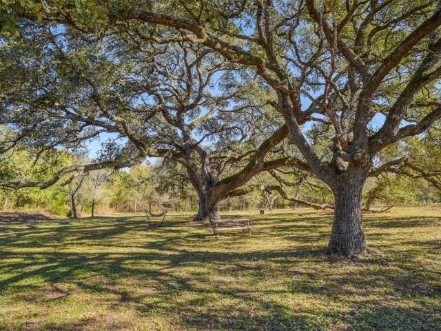 421 Krchnak Rd, Smithville, TX 78957 | Compass