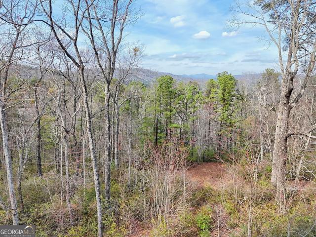 421 Hickory Nut Mountain Rd, Tallulah Falls, GA 30573 | MLS #10705