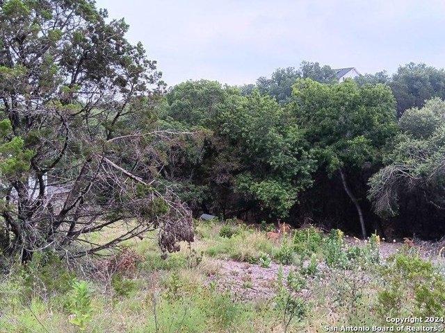 421 Lexington Pass Lot 273, Canyon Lake, TX 78133