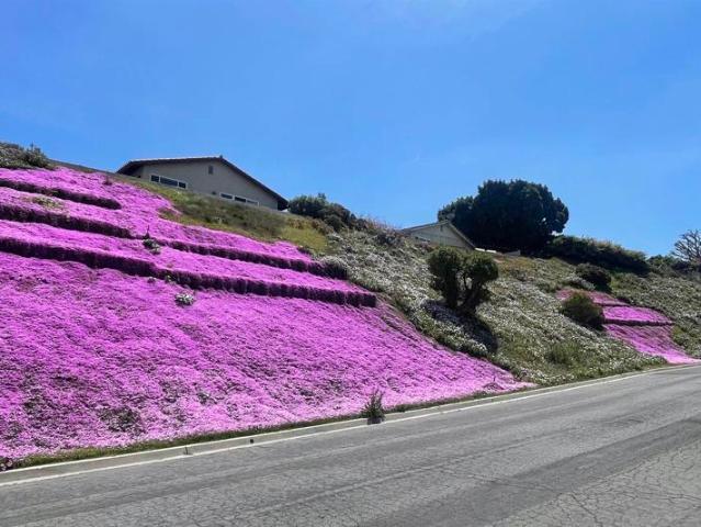 421 Santa Helena