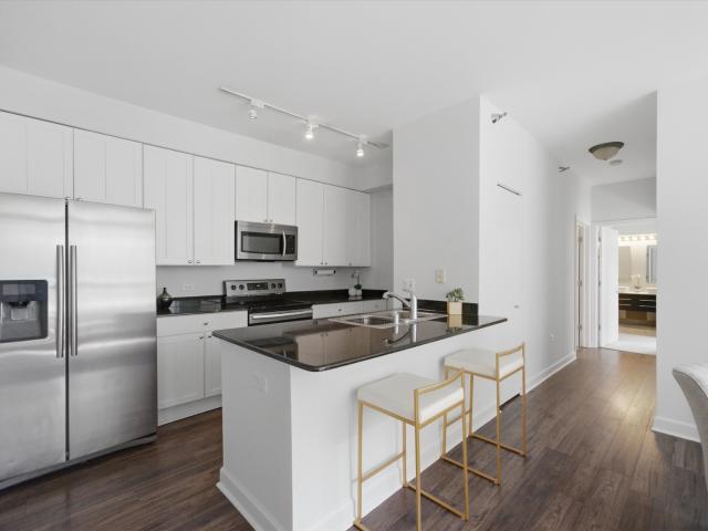 421 W Huron Street # 1009