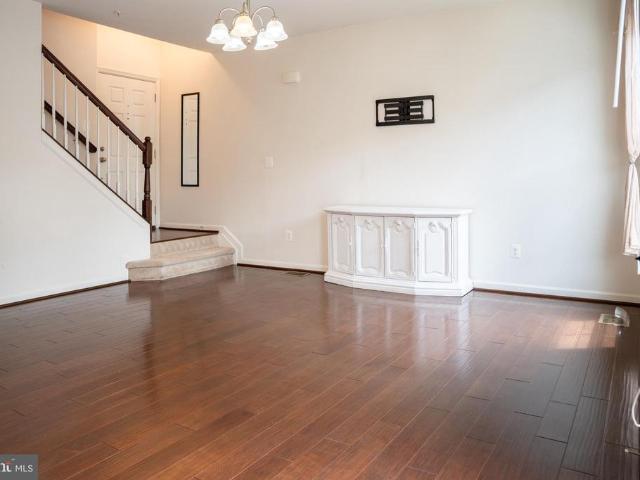 42243 Canary Grass Square