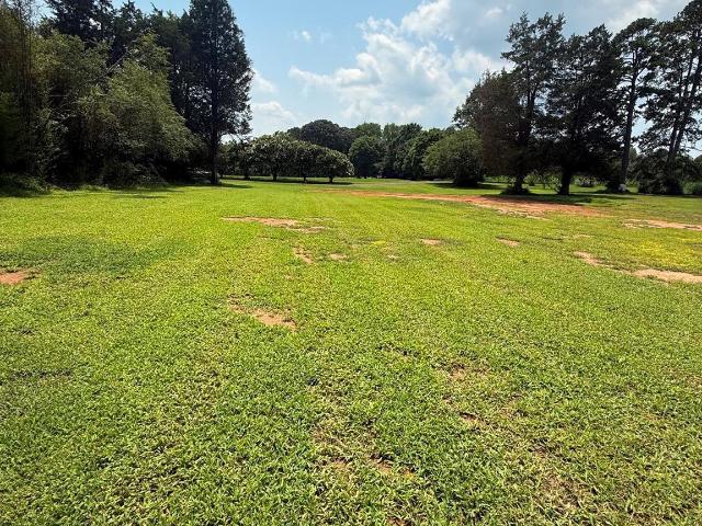 4225 Gold Hill Road