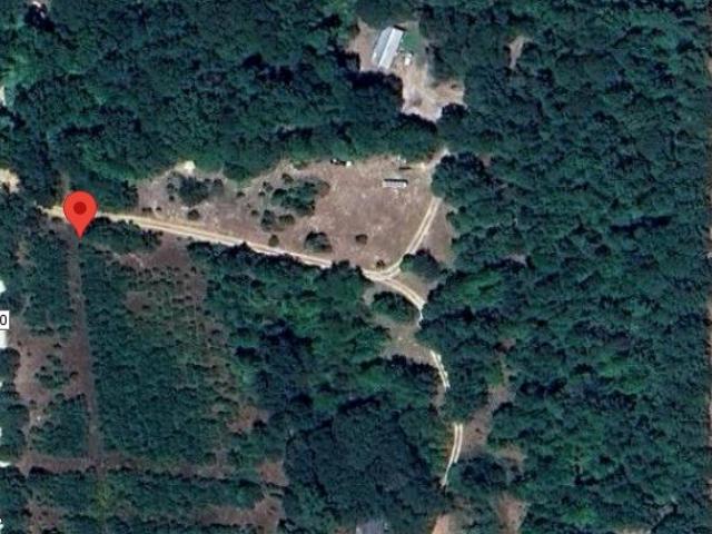 4220 County Road 1640, Grapeland, TX 75844 | MLS #46165