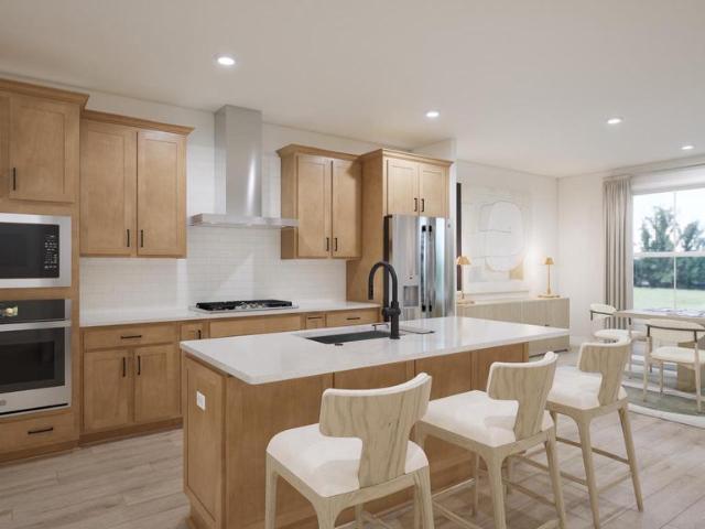 42217 Picasso Square # HOMESITE 4334