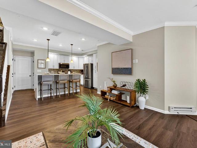 42227 Piebald Square
