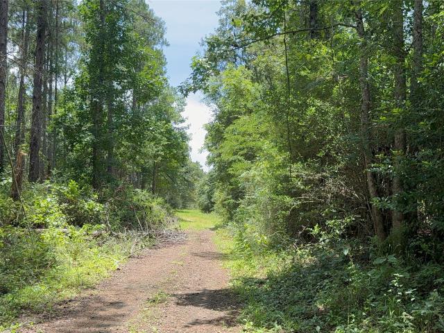 422 County Road 4088