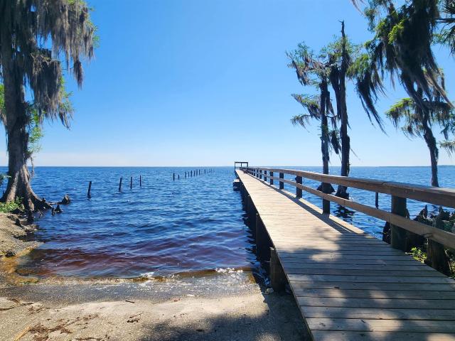 422 Dogwood Ave, Georgetown, FL 32139 | MLS #255325