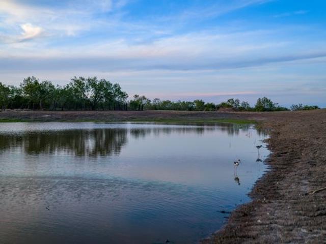 422 FM 791, Campbellton, TX 78008