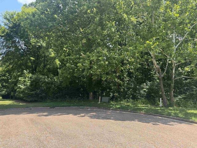 422 Scottscraig Cv Lot 422, Bartlett, TN 38135