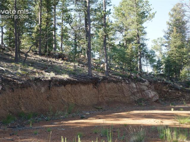 422 Spring Valley Drive