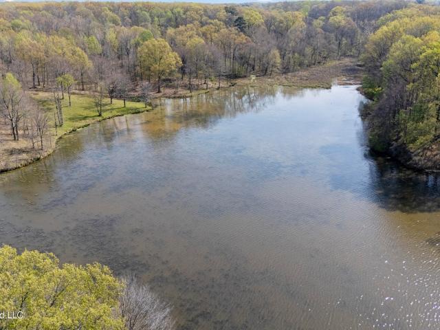 4234 Delta View Road