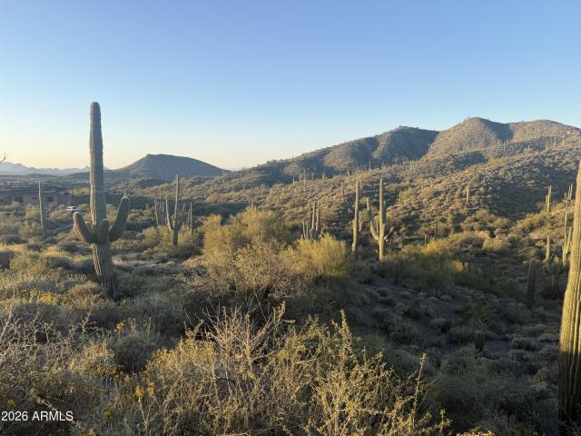 42382 N Chiricahua Pass, Unit 318, Scottsdale, AZ 85262 | MLS #6979