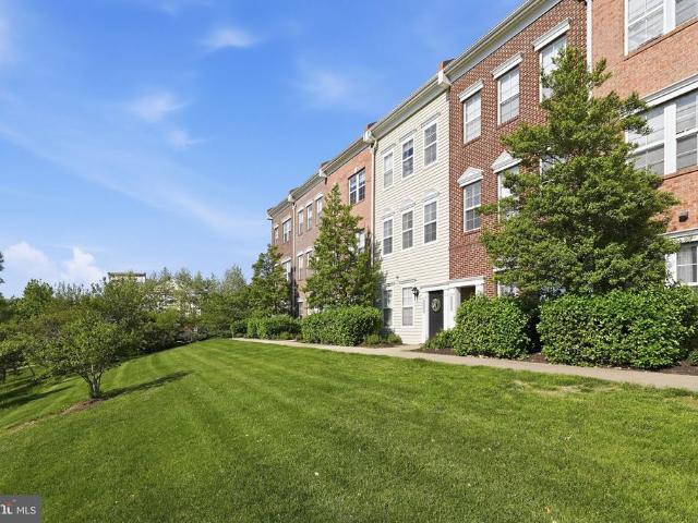 42393 Goldenseal Square