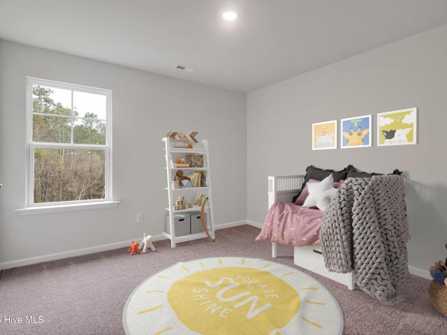 4239 Pitcher Plant Ct SE, Unit 290, Bolivia, NC 28422 | MLS #100531