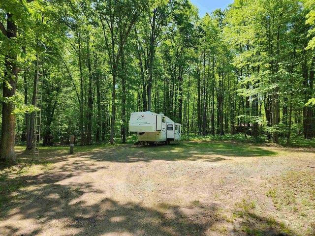 4239 White Birch, Farwell, MI 48622