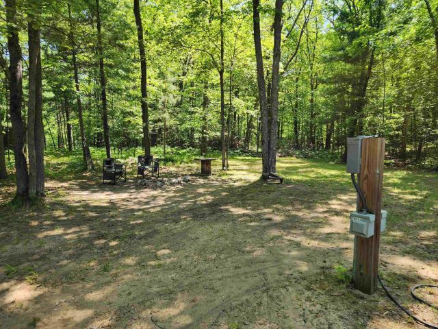 4239 White Birch Lane