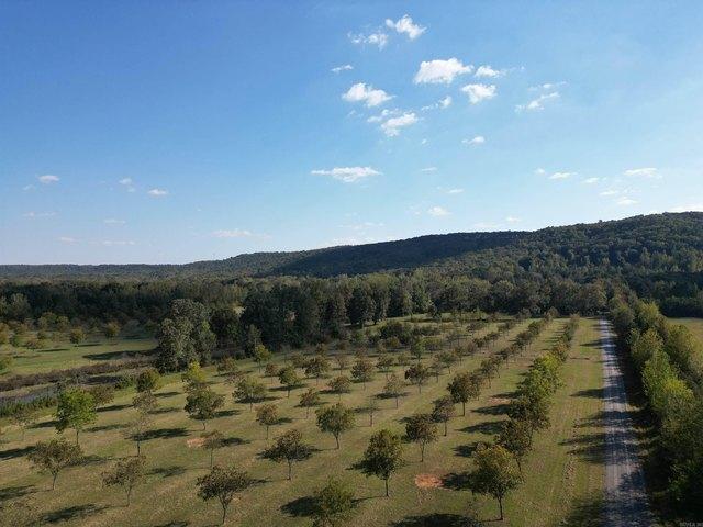 4231 Highway 337 E Pecan Point Dr, Heber Springs, AR 72543