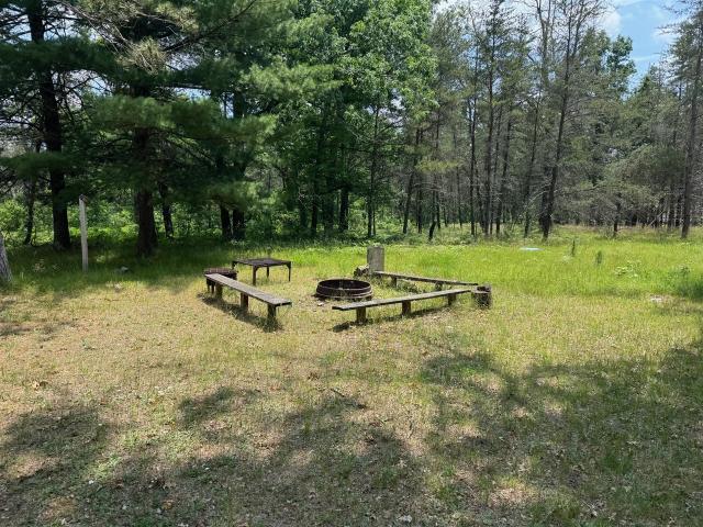 4231 W 5 Mile Road