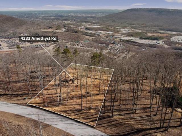 4233 Amethyst Rd Lot HOMESITE807, Chattanooga, TN 37419