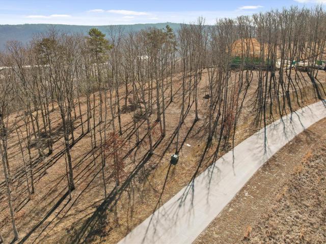 4233 Amethyst Rd, Unit HOMESITE 807, Chattanooga, TN 37419 | MLS #1528 | Compass