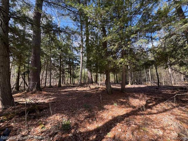 4233 Hardacre Trail