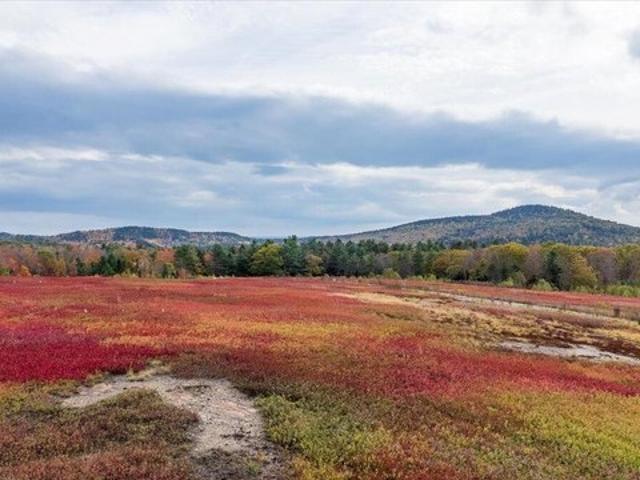 423 Beech Hill Rd, Northport, ME 04849