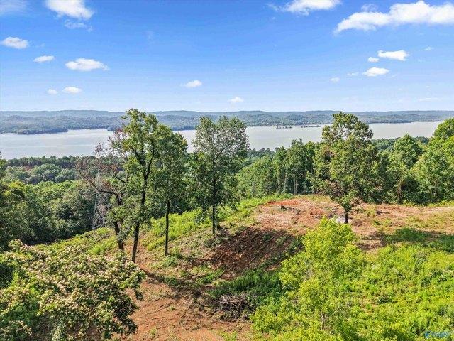 423 Keene Point Dr, Grant, AL 35747