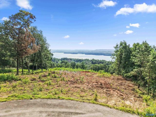 423 Keene Point Drive