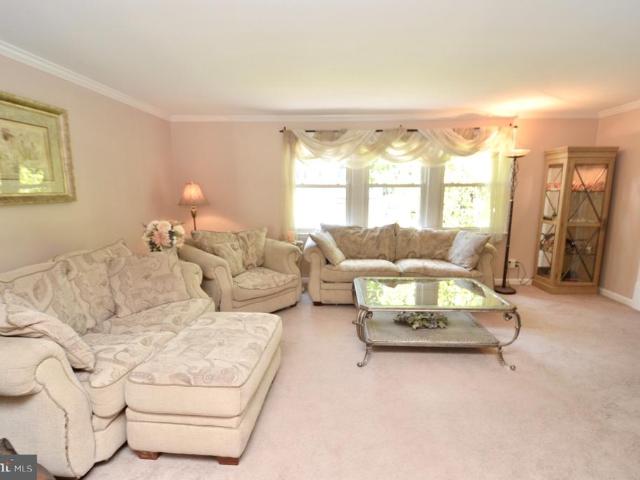 423 Old Orchard Road