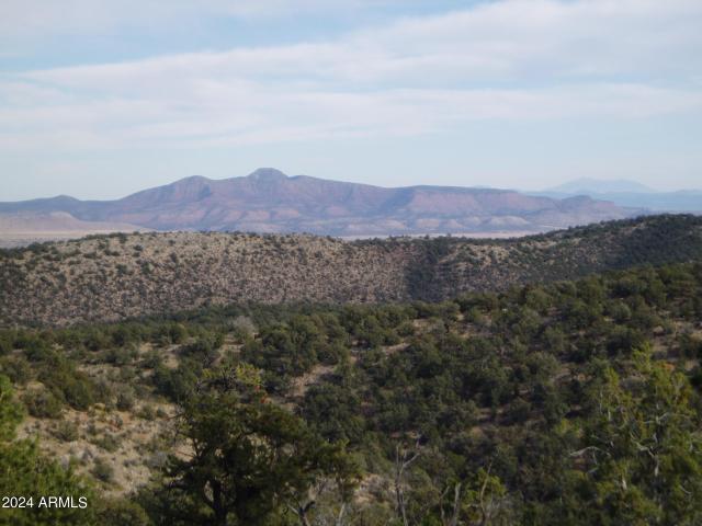 42444 n purcell canyon drive #