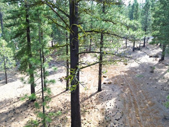 42451 Blue Heron Circle