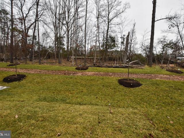 42452 Dogwood Glen Square