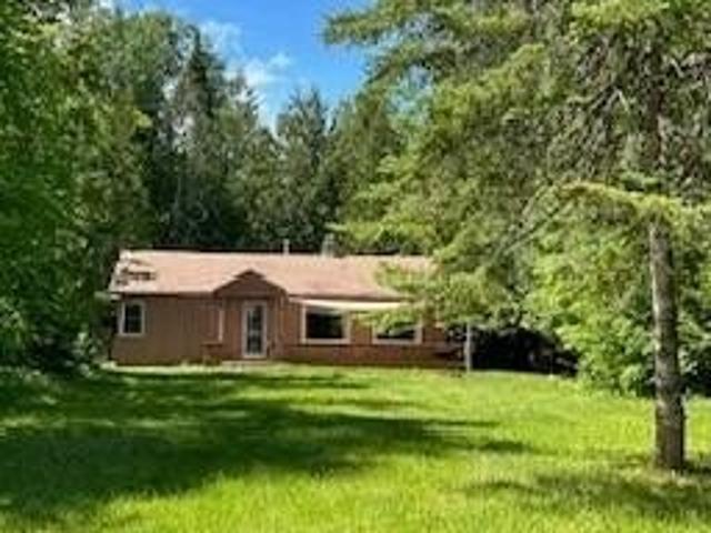 4241 N Government Rd, Moran, MI 49760