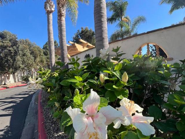 4241 Loma Riviera Ln, San Diego, CA 92110 | MLS #NDP2604