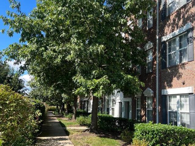42429 Goldenseal Square