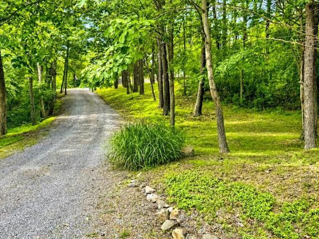4242 Camp Reed Lane