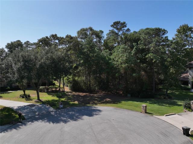 4242 Starling Stream Drive, Spring, US, TX