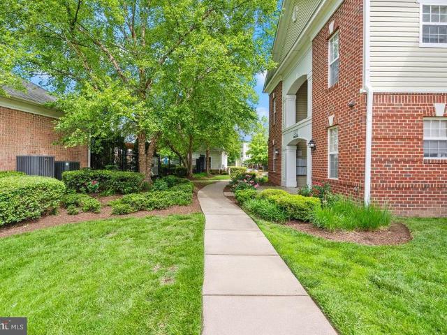 42432 Hollyhock # 101