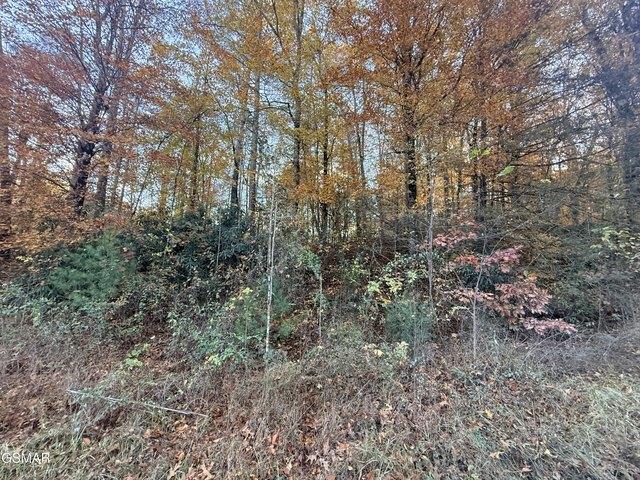 4243 Deerfoot Rd, Newport, TN 37821