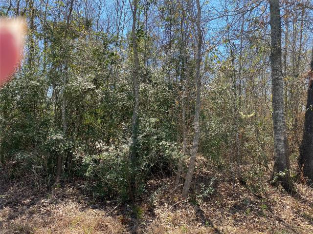 424 County Road 3570, Cleveland, TX 77327 | MLS #76482 | Compass